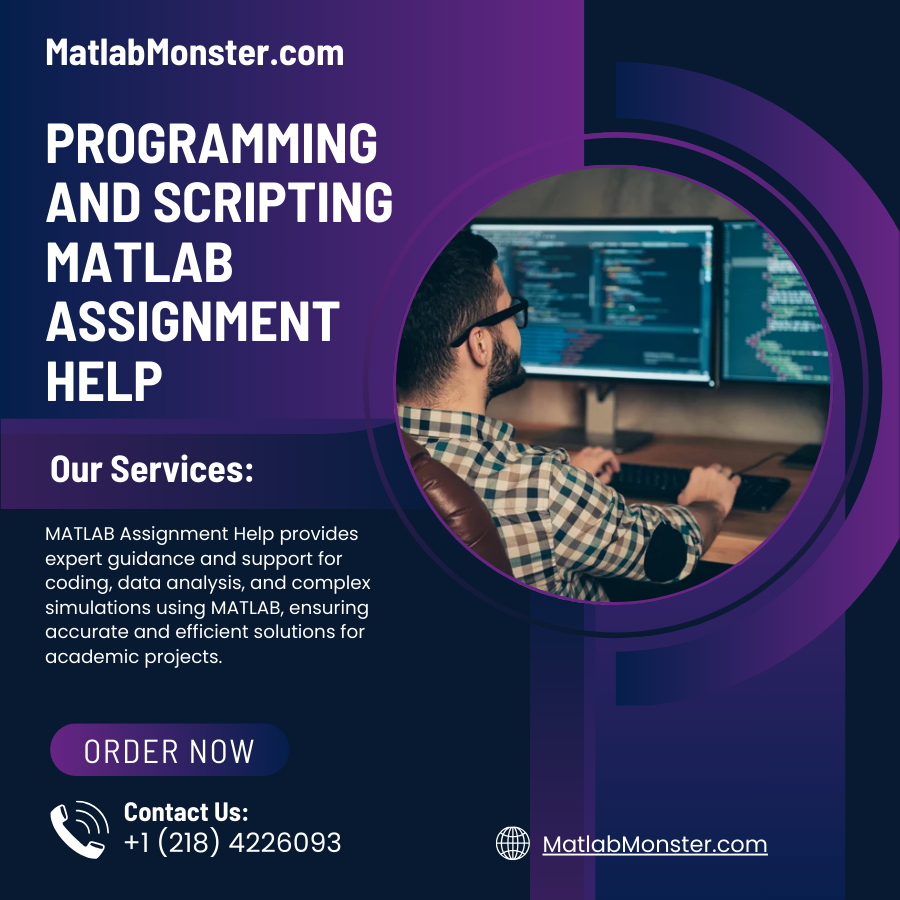 Programming and Scripting Matlab Assignment Help | Hire Someone To Take ...